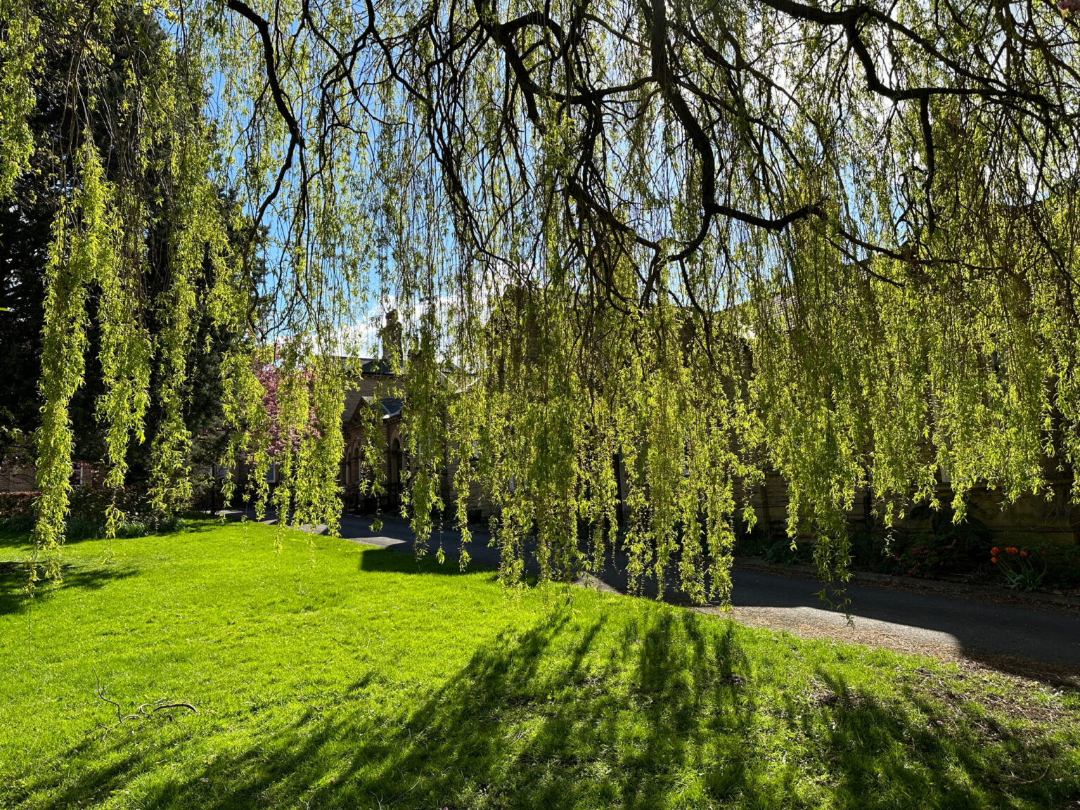 Get ready to bloom: your guide to selling your home this spring with ...